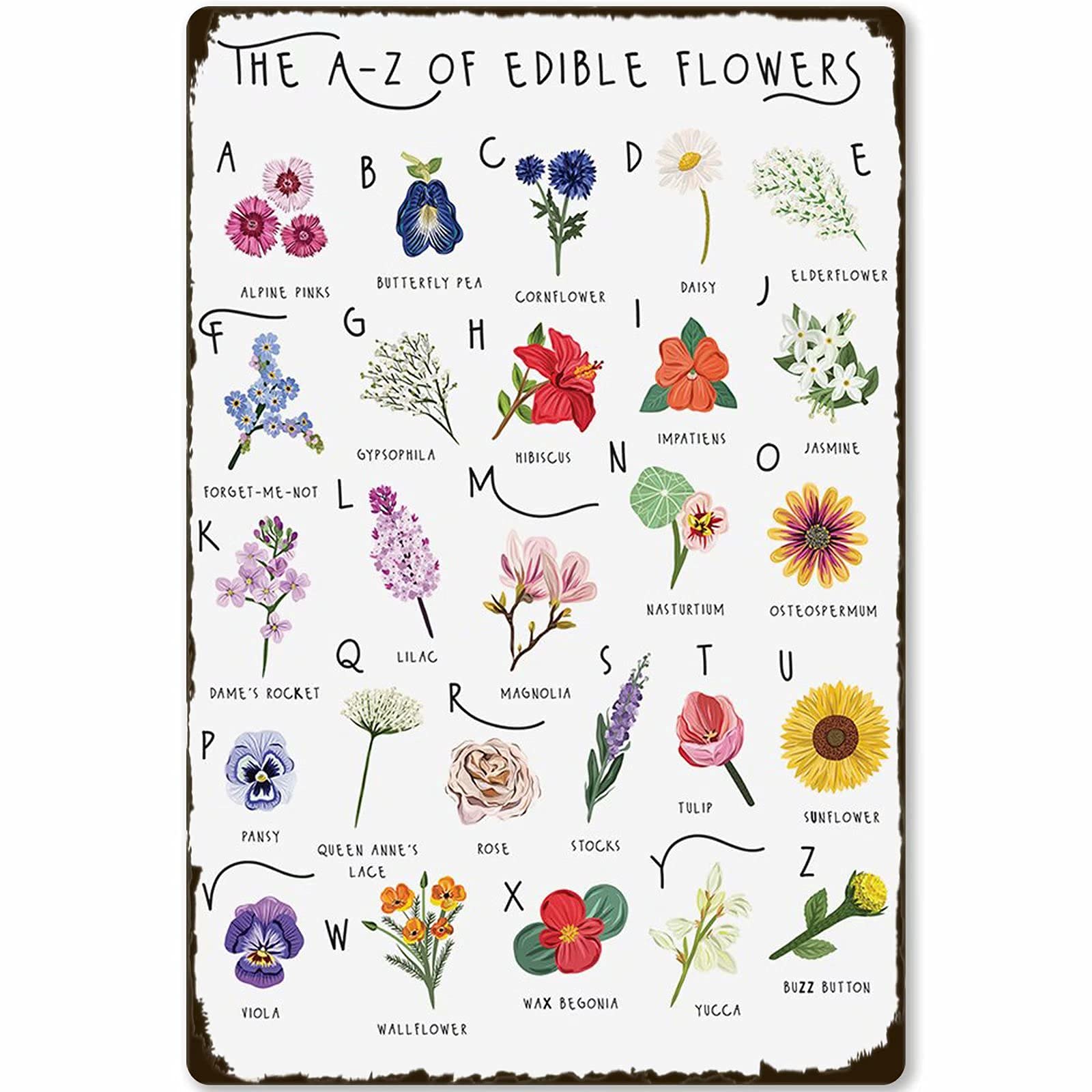 Edible Flowers Chart