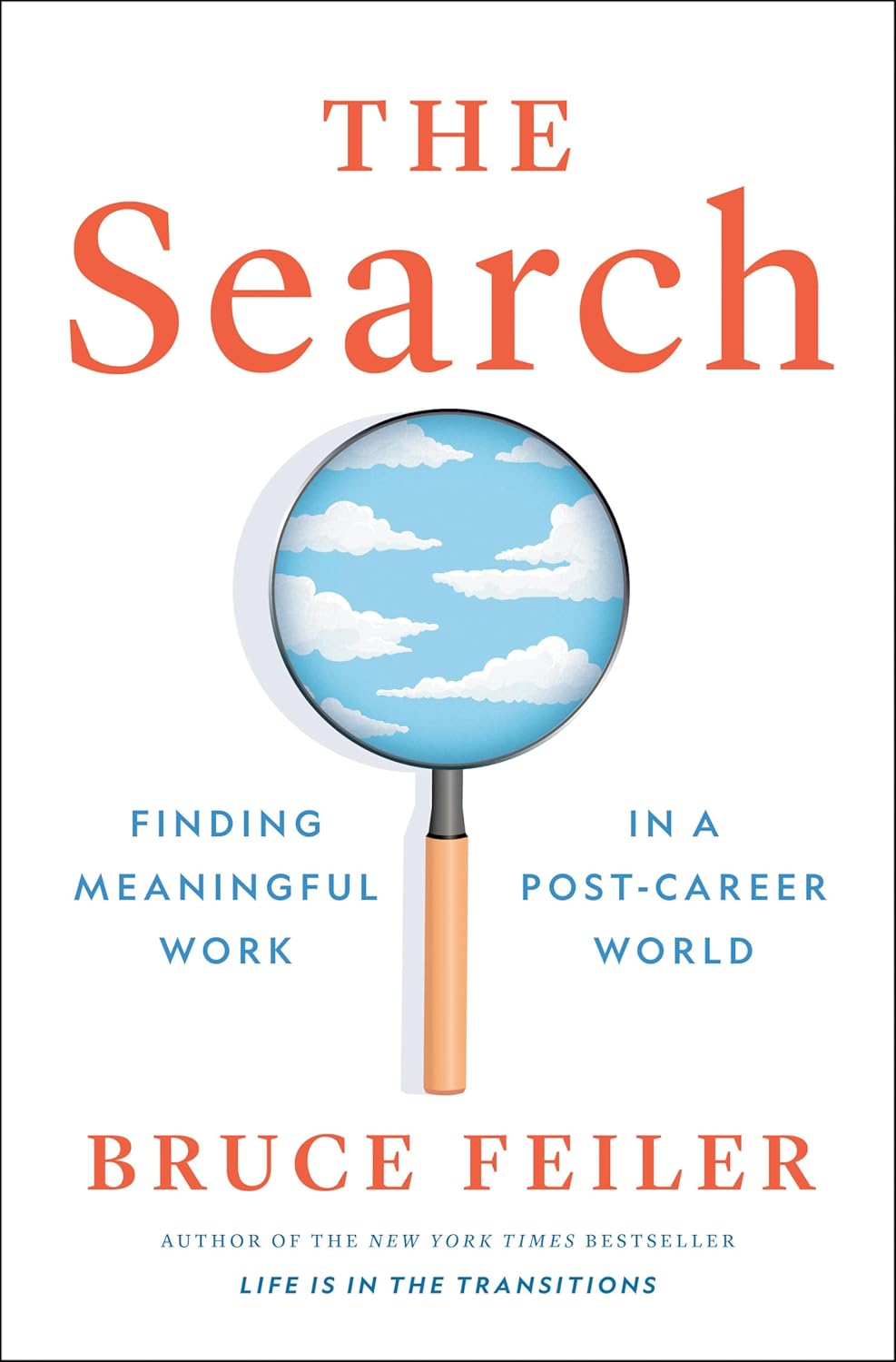 The Search: Finding Meaningful Work in a Post-Career World: Feiler ...