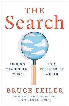 The Search: Finding Meaningful Work in a Post-Career World: Feiler ...