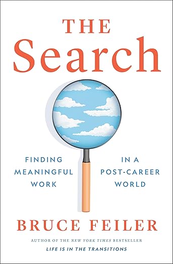 The Search: Finding Meaningful Work in a Post-Career World: Feiler ...