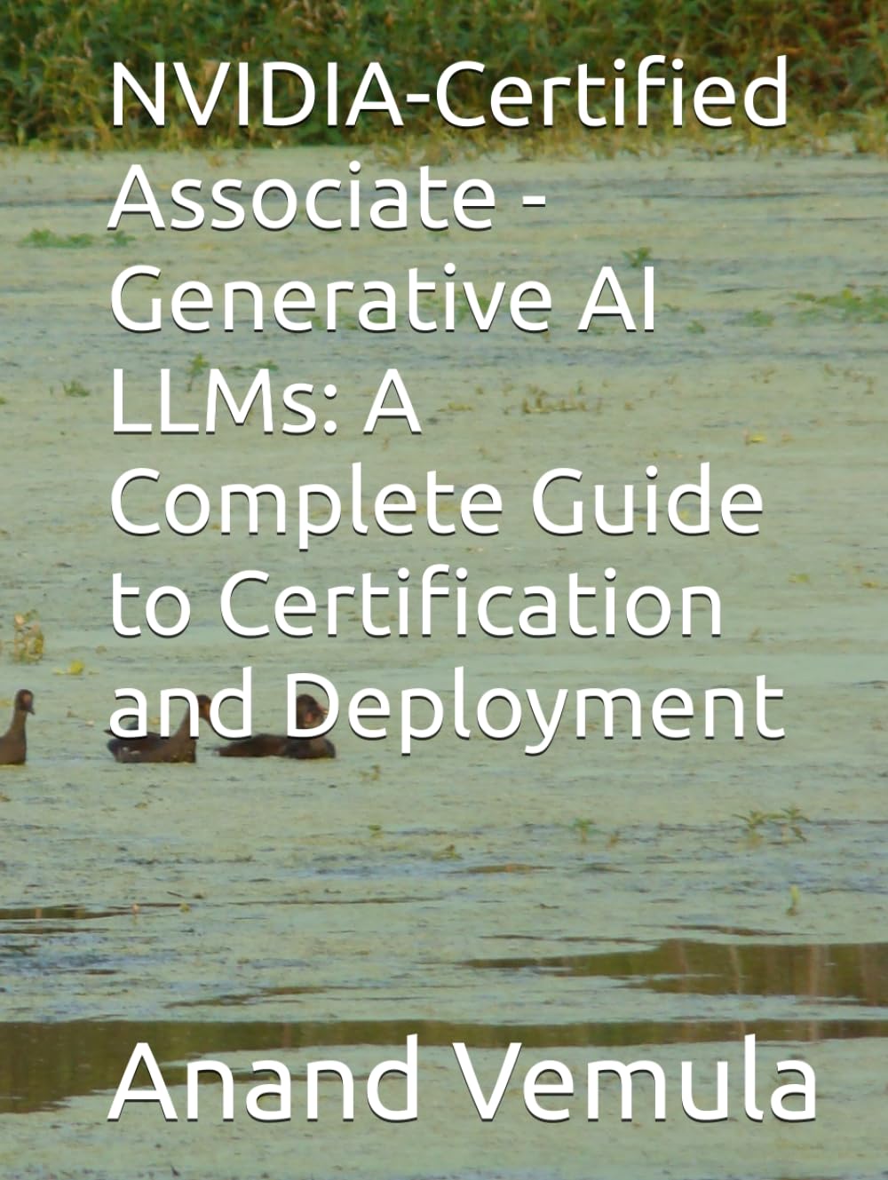 NVIDIA-Certified Associate - Generative AI LLMs: A Complete Guide to ...