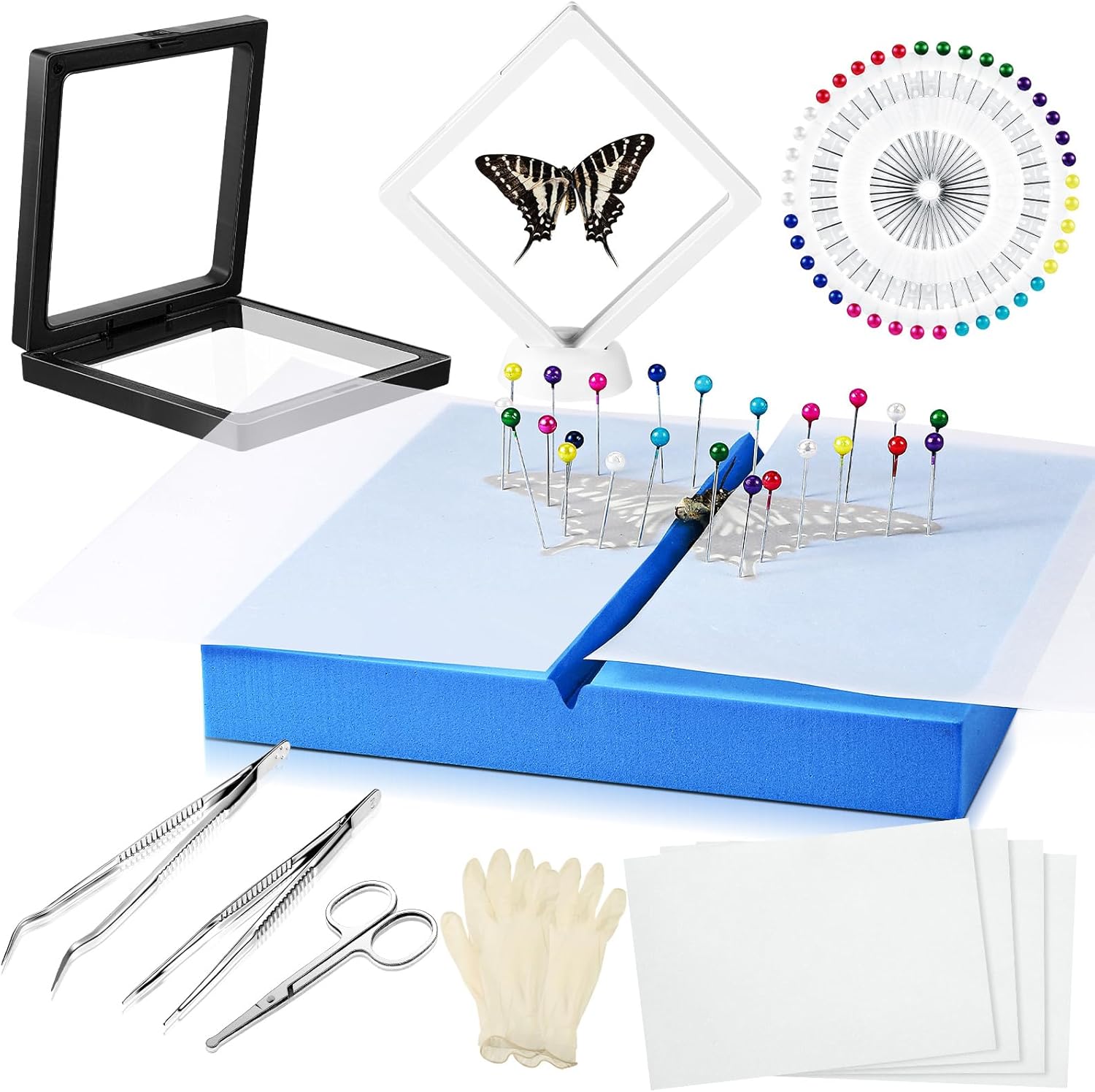Amazon.com: DoubleFill Insect Specimen Tools Kit Butterfly Specimen for ...