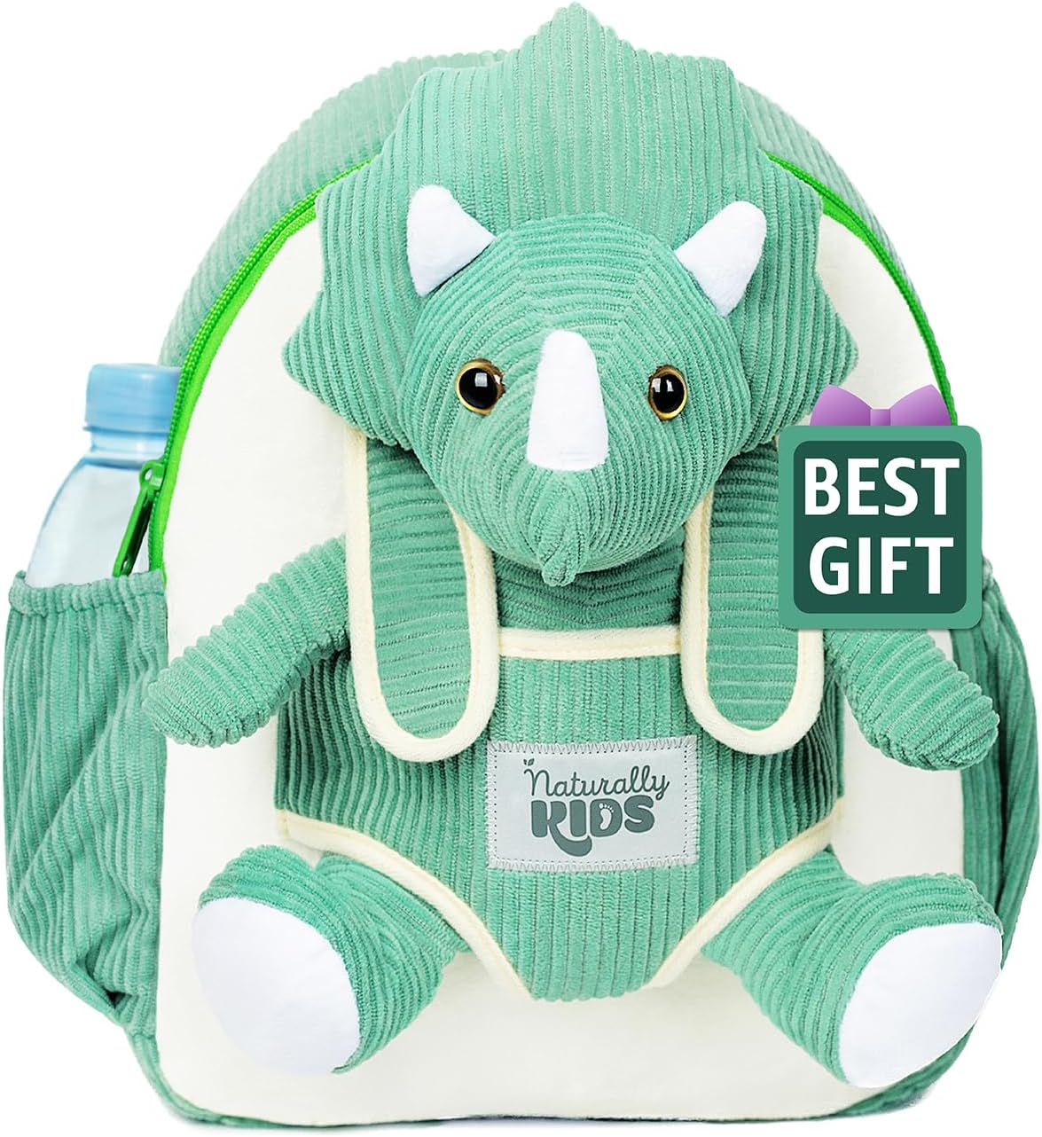 Amazon.com: Naturally KIDS Green Dinosaur Backpack for Boys 4-5 ...