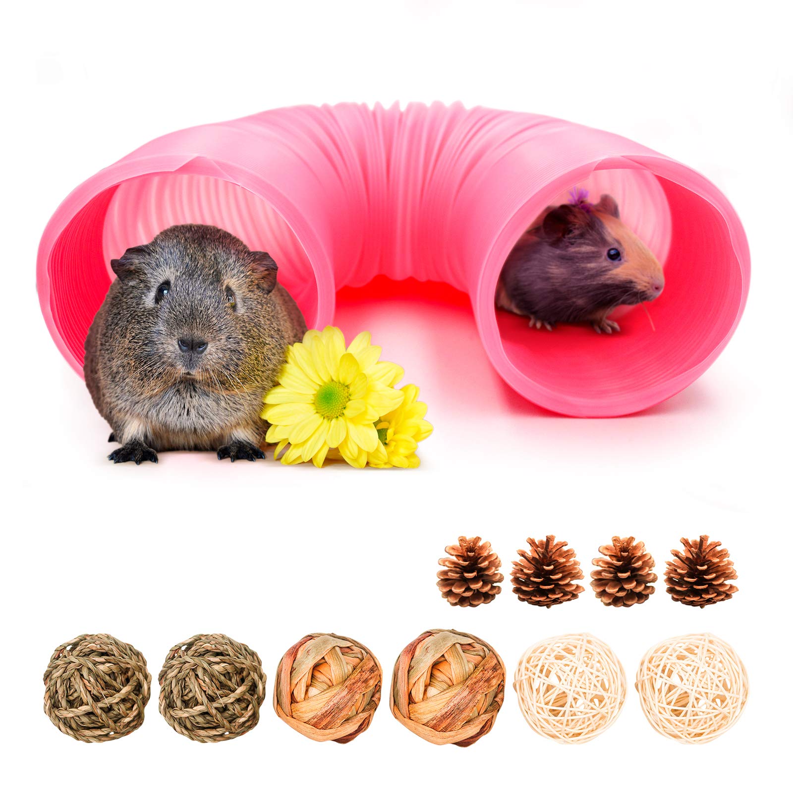 Buy Bac-kitchen 2 Pack Small Animal Play Tunnel,Play Tunnel & Seagrass ...