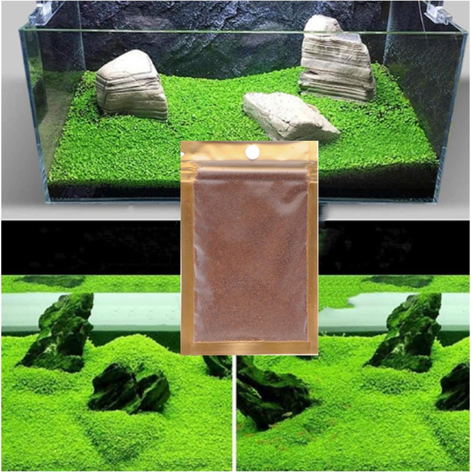 Amazon.com : 1 Pack Aquarium Plant, not Artificial plasticl, Easy ...