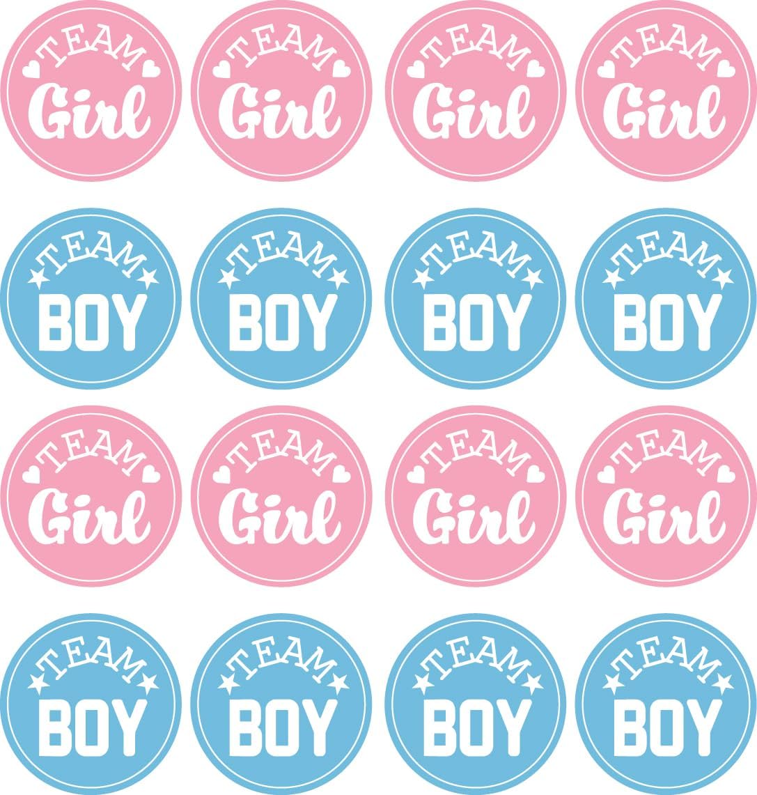 Amazon.com: Pink and Blue Gender Reveal Party Stickers - 100 Count ...