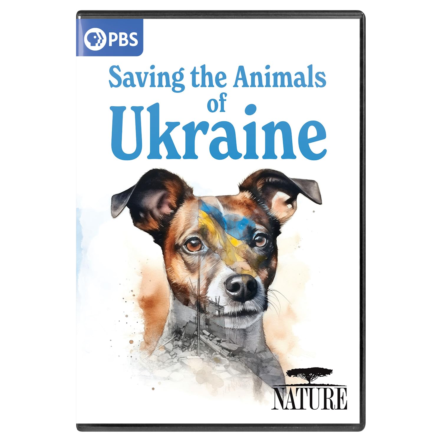 Amazon.com: NATURE: Saving the Animals of Ukraine DVD : Tom Park, Sonja ...