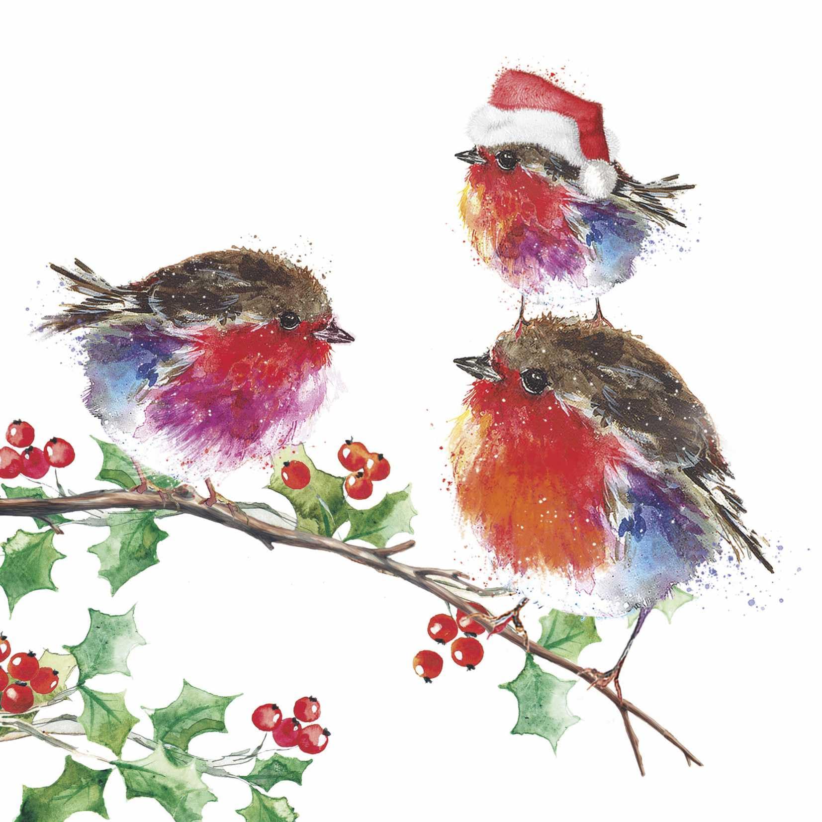 Marie Curie Charity Fluffy Robin Family Christmas Cards 10 Pack With ...