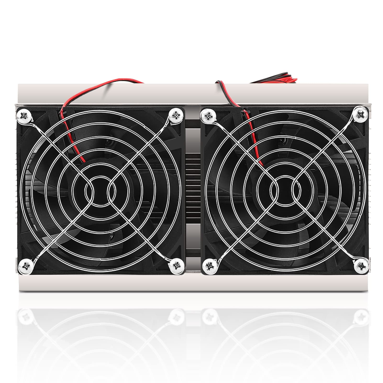 Buy Yosoo Gear Semiconductor Refrigeration Fan, Dual-core Semiconductor ...