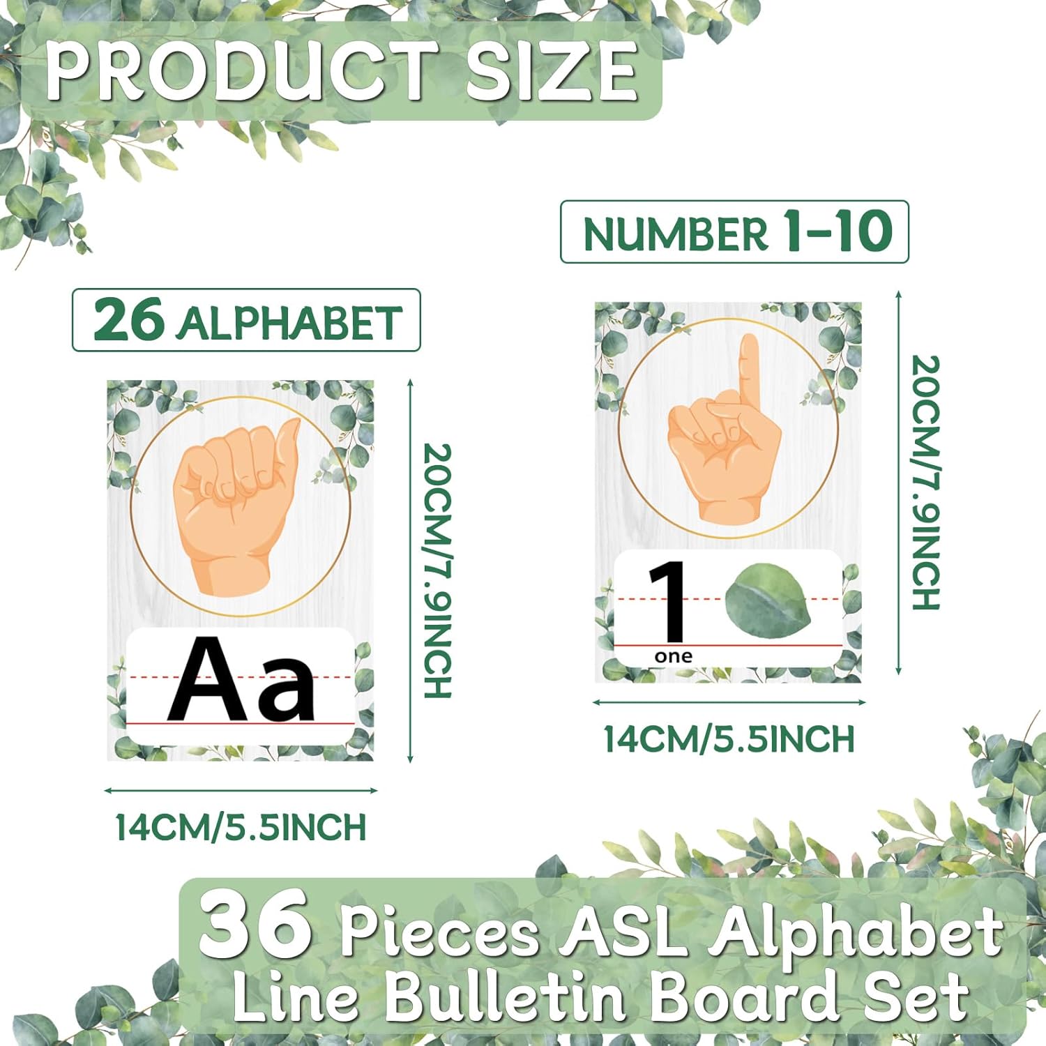 36PCS Eucalyptus ASL Alphabet Line Bulletin Board Nepal | Ubuy