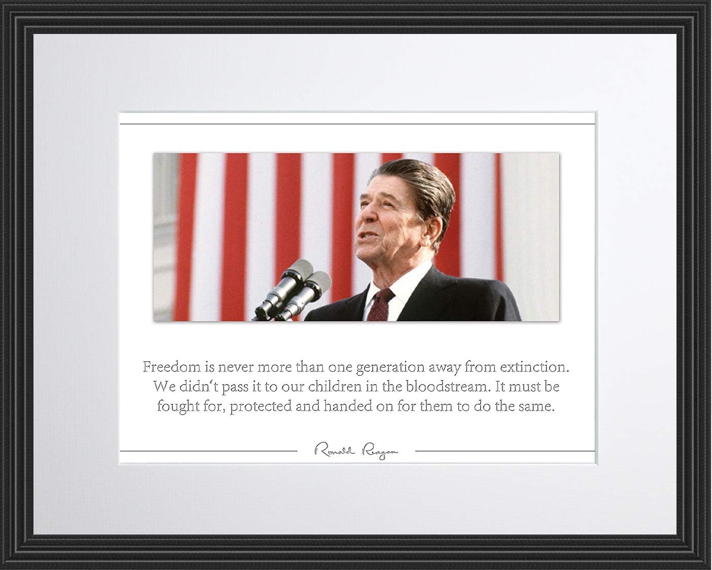 Amazon.com: Ronald Reagan Inspirational Quote: Freedom (11x14 Framed ...