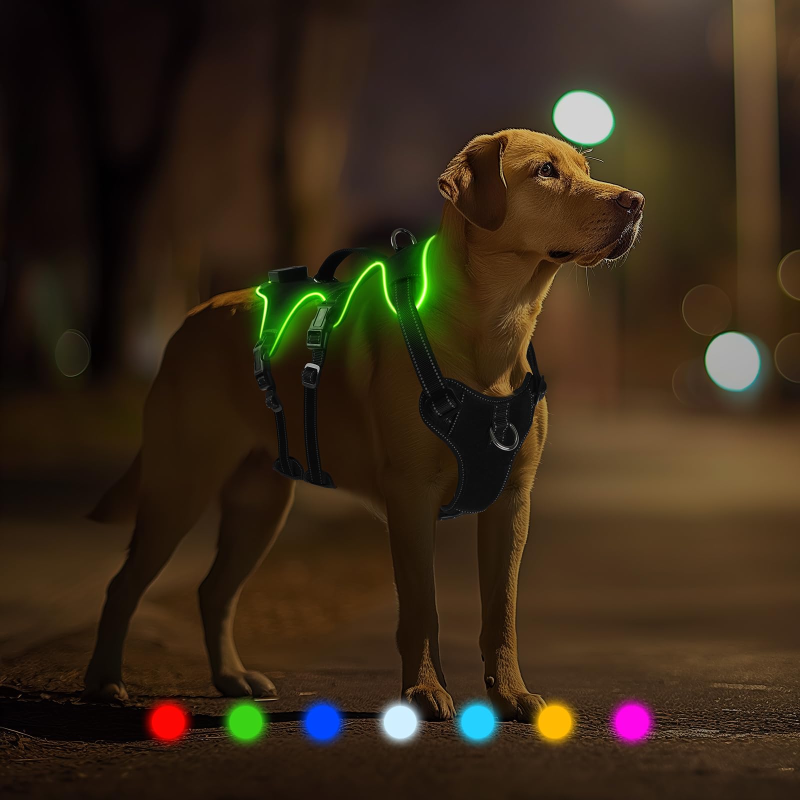 Amazon.com : Light Up Dog Harness, 7 Color Changing LED Dog Harness ...