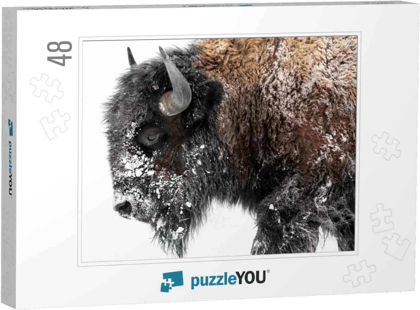 Amazon.com: Bison Walking Out in The Snow... Jigsaw Puzzle Jigsaw ...