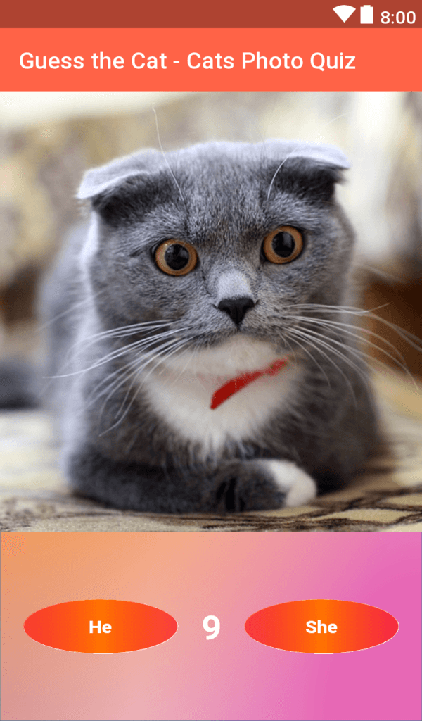 Guess the Cat - Cats Photo Quiz - App on the Amazon Appstore