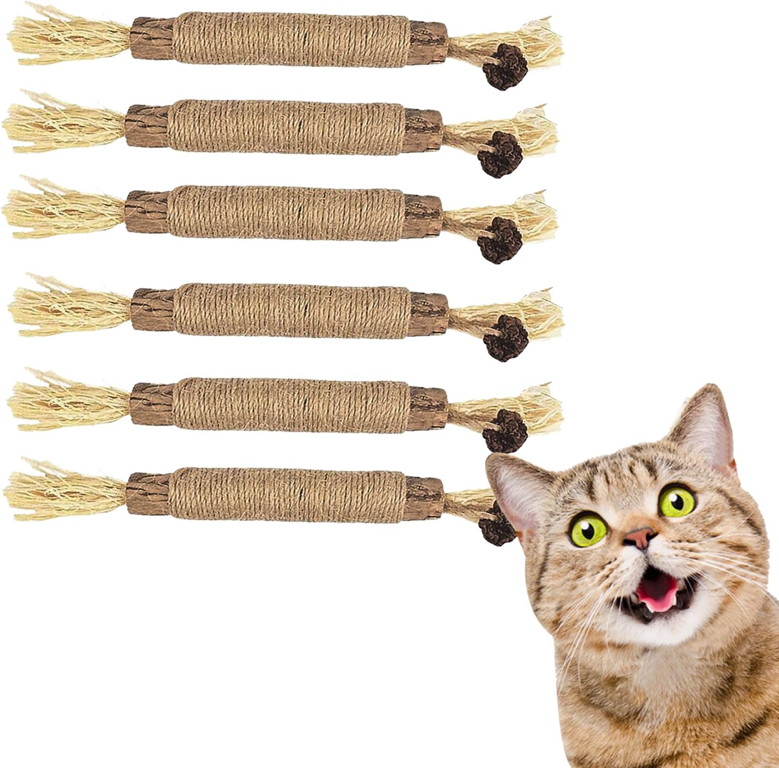 PRVCFZ 6 Pcs Kitten Teething Toys, Natural Cat Chew Toy, Kitten Toys ...