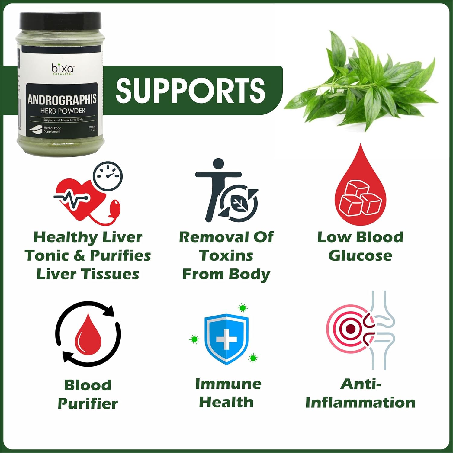 Buy Andrographis Powder (Andrographis Paniculata) Bitter Herb Kalmegh ...