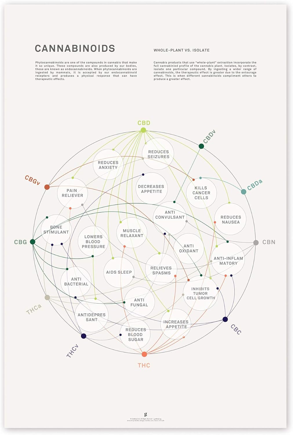 Amazon.com: Goldleaf Cannabinoid Health Matrix Print, Cannabis ...