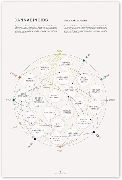 Amazon.com: Goldleaf Cannabinoid Health Matrix Print, Cannabis ...
