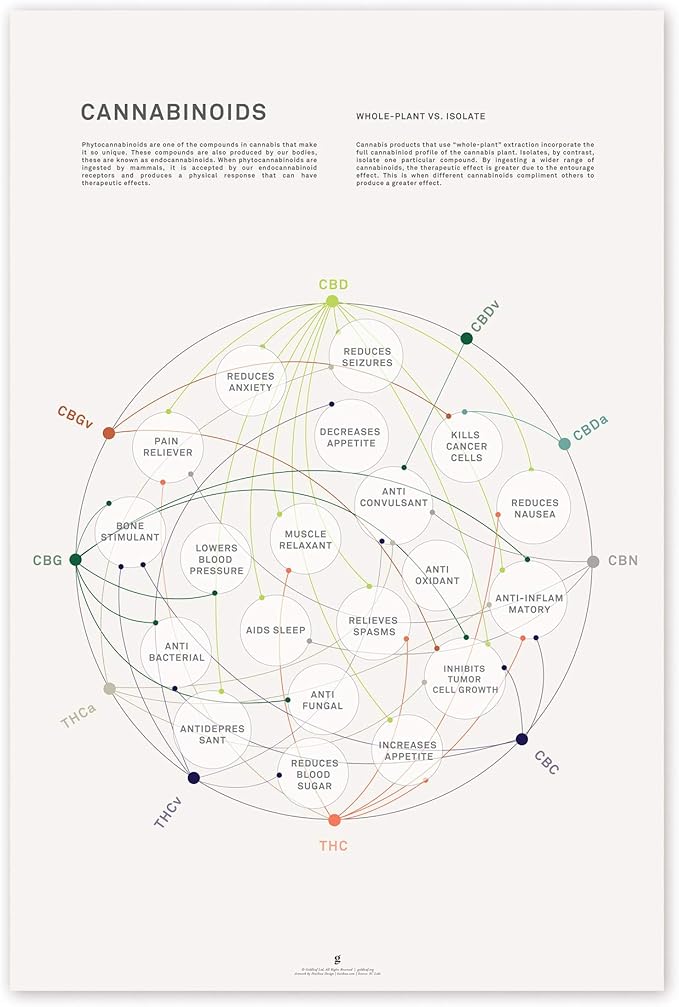 Amazon.com: Goldleaf Cannabinoid Health Matrix Print, Cannabis ...