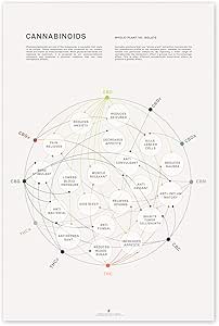 Amazon.com: Goldleaf Cannabinoid Health Matrix Print, Cannabis ...