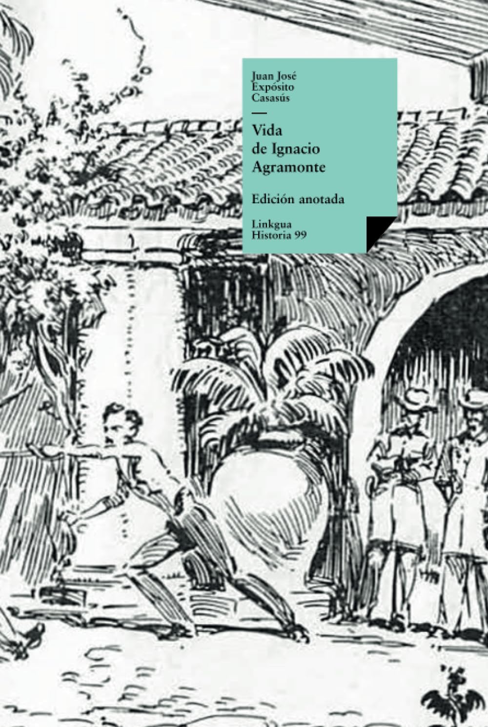 Vida de Ignacio Agramonte (Historia) (Spanish Edition): Expósito ...
