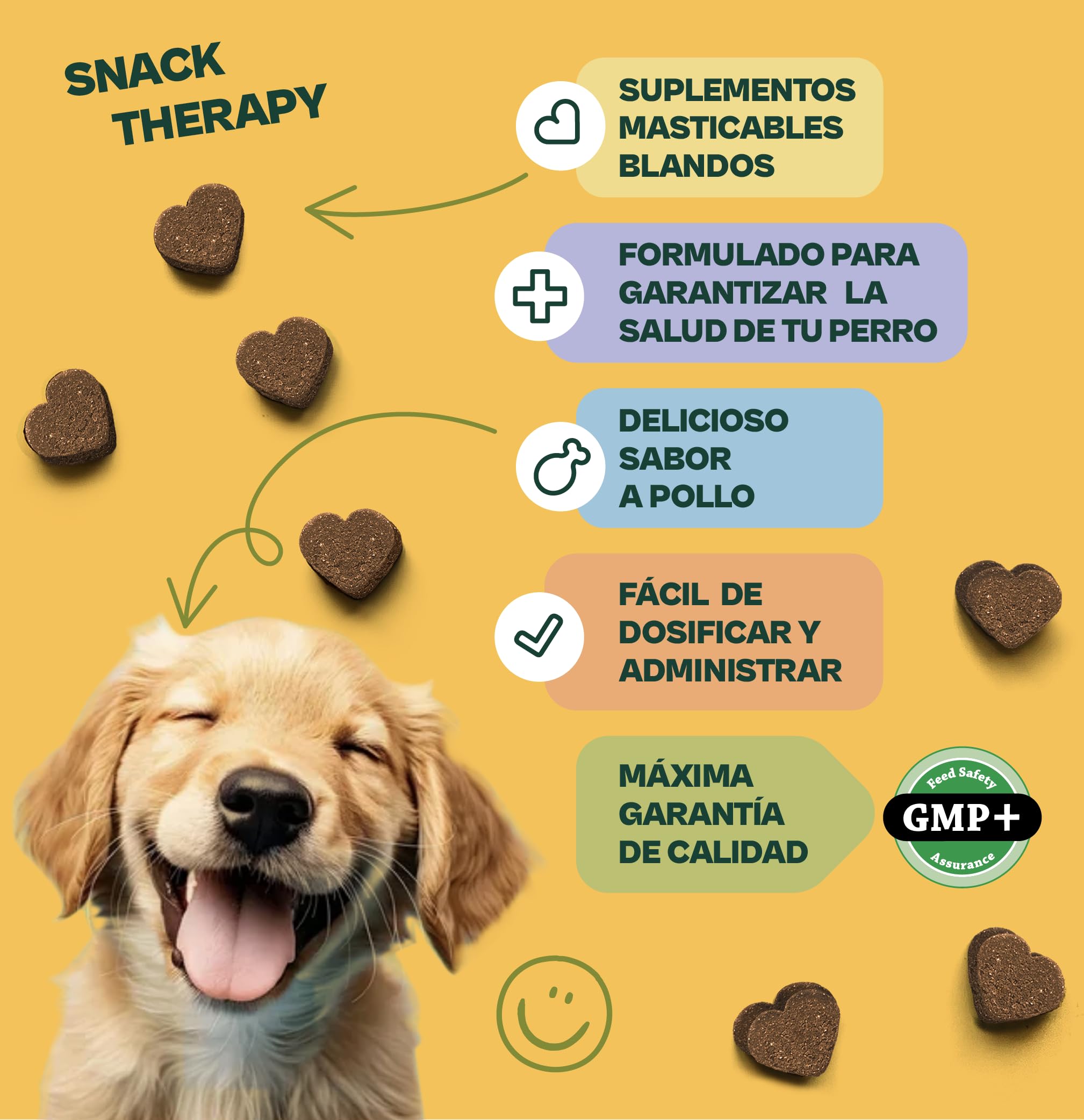 Gooddy Healthy Skin & Glowing Coat Supplement for Dogs, 100 Snacks ...