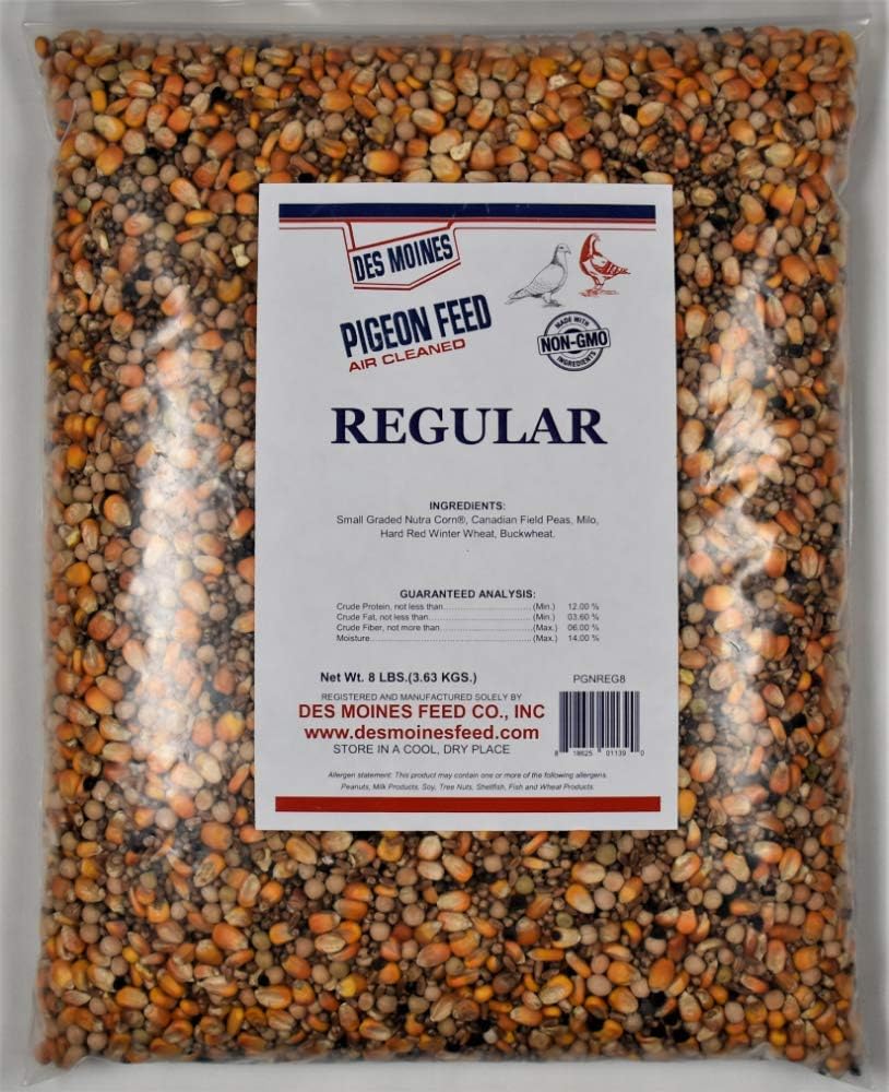 Amazon.com: Regular Pigeon Mix (12%) 8 lbs : Pet Supplies