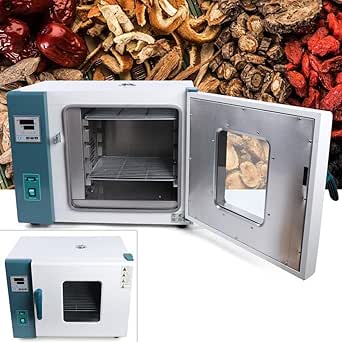 Amazon.com: Drying Oven Lab Oven,1000W Lab Forced Air Convection Drying Oven Laboratory Constant ...