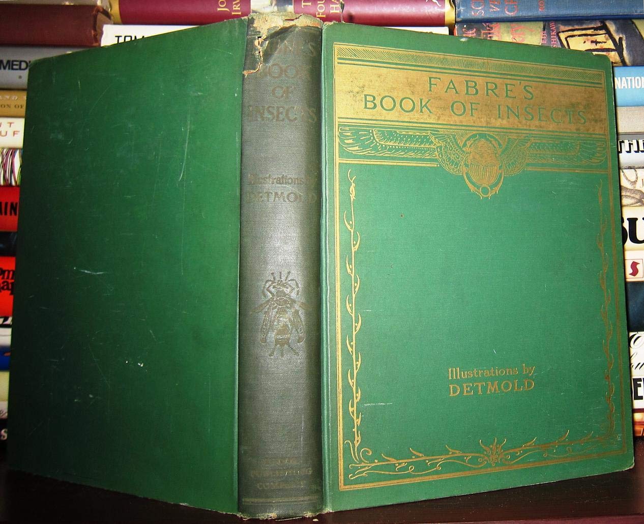 Fabre's Book of Insects, Retold from Alexander Teixeira de Mattos ...