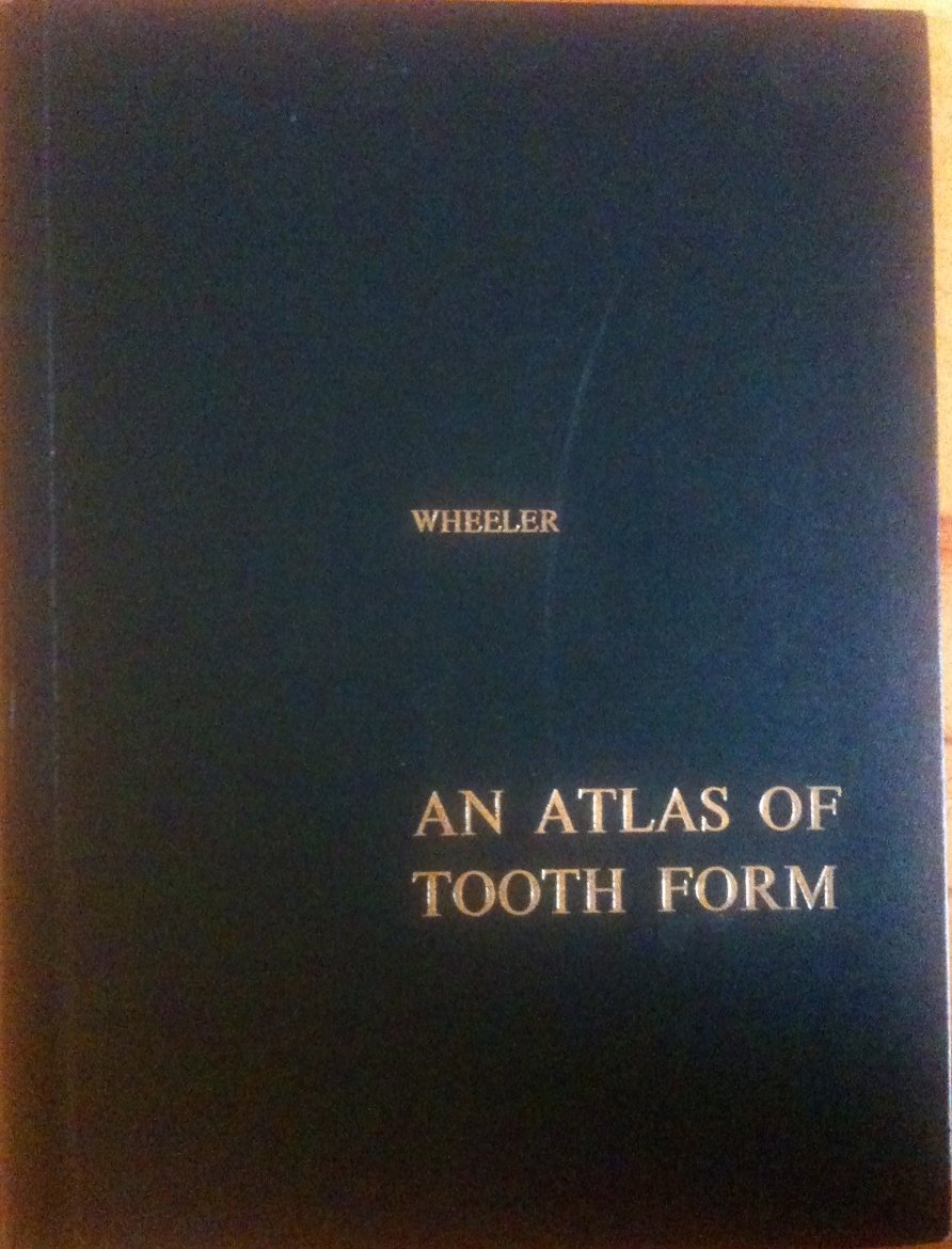 An Atlas of Tooth Form: wheeler, russell: 9780721692760: Amazon.com: Books