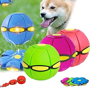 Amazon.com : Doggy Disc Ball for Large Medium Small Dogs | The Doggy ...