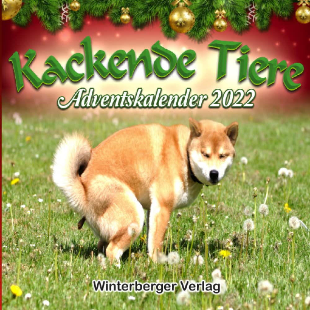 Kackende Tiere Adventskalender 2022: 25 lustige Bilder von Tieren beim ...