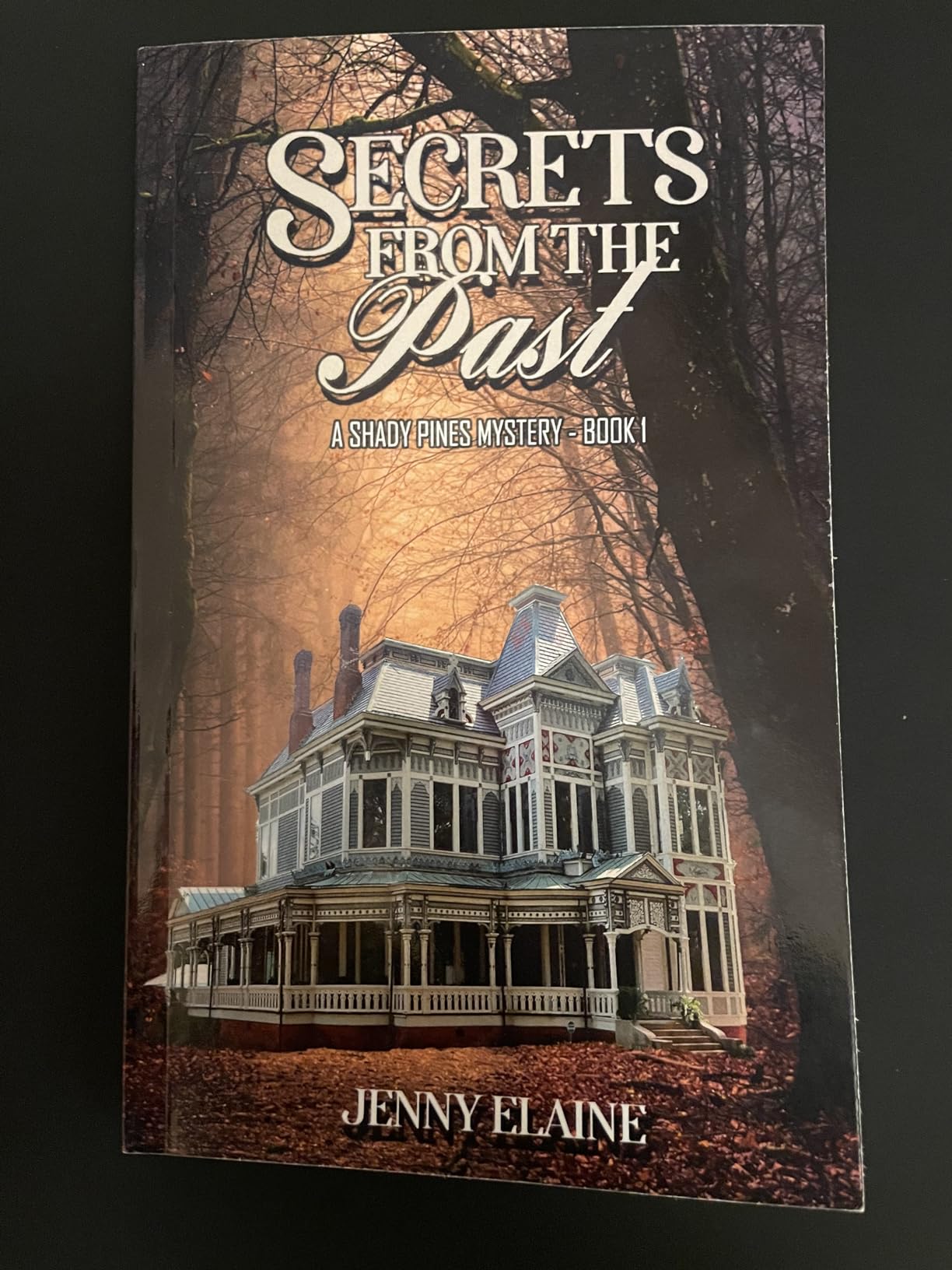 Amazon.com: SECRETS FROM THE PAST: A Shady Pines Mystery eBook : Elaine ...