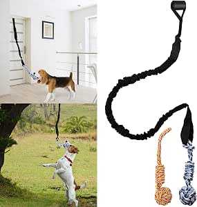 Spring Pole Dog Rope Toys Outdoor Dog Tug of War Toy for Pitbull Medium ...