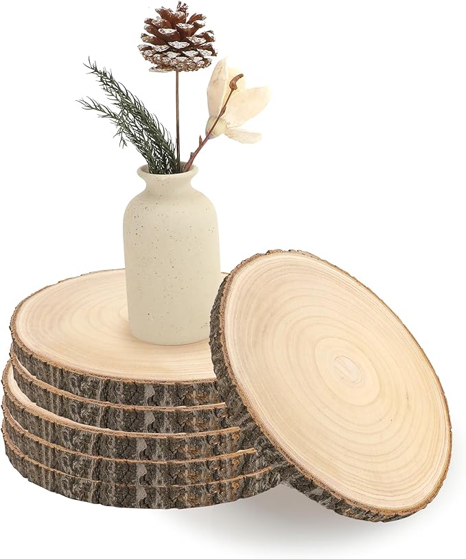 Amazon.com: KEJJNYER 6 Pack 10-12 Inch Wood Slices for Centerpieces ...