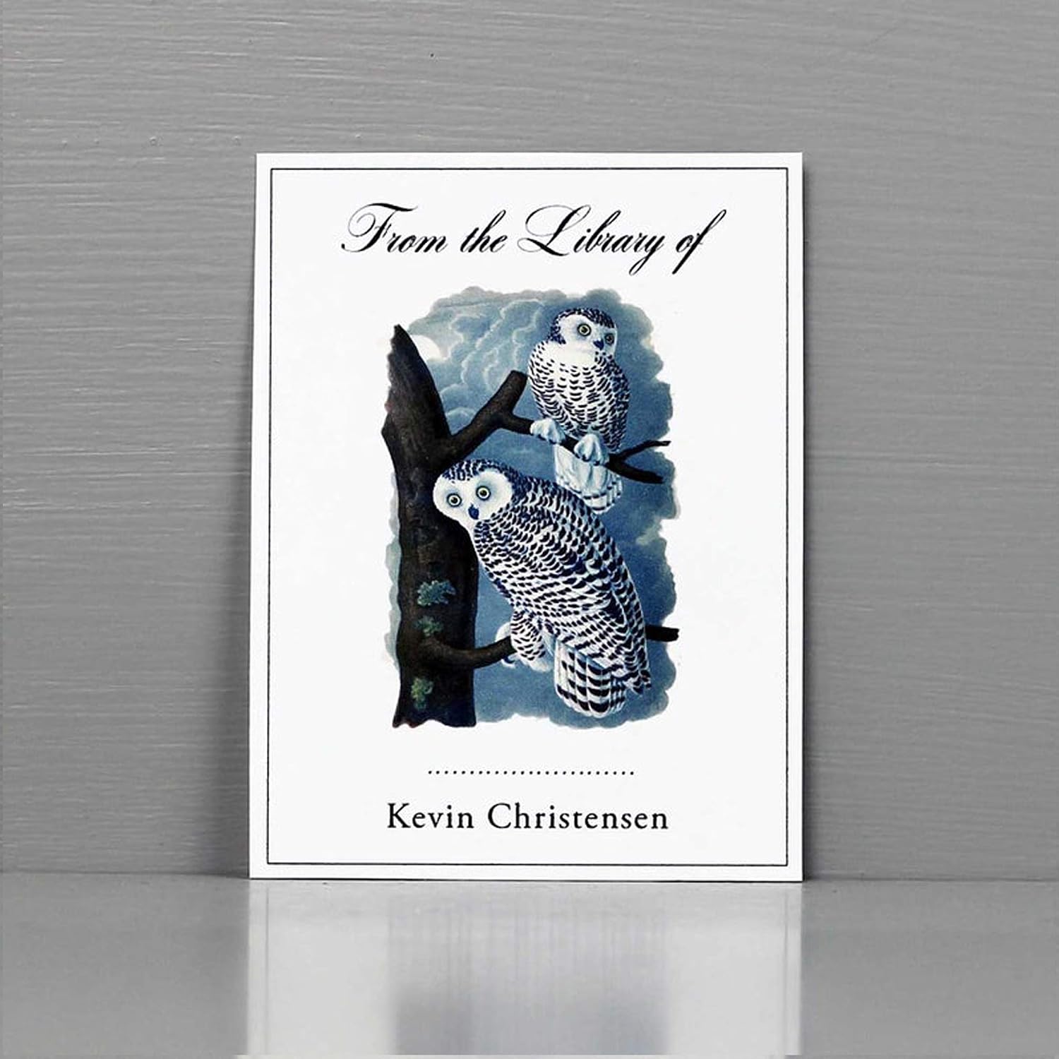 Amazon.com: SNOW OWLS Personalized Bookplate. Set of 12. SIZE: 3.1" H x ...