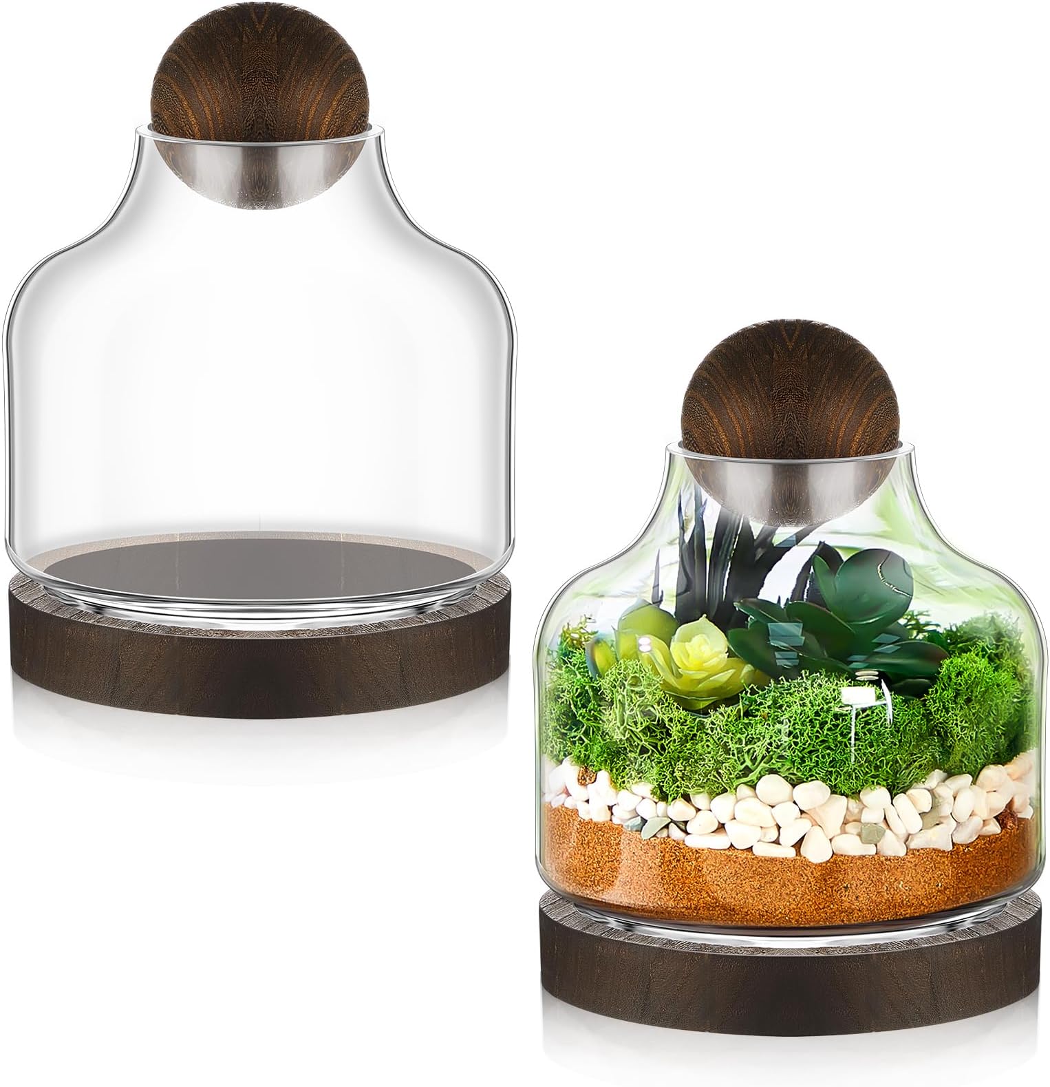 Amazon.com: Sunnychicc 2 Pcs Large Glass Terrariums Jar for Plants with ...