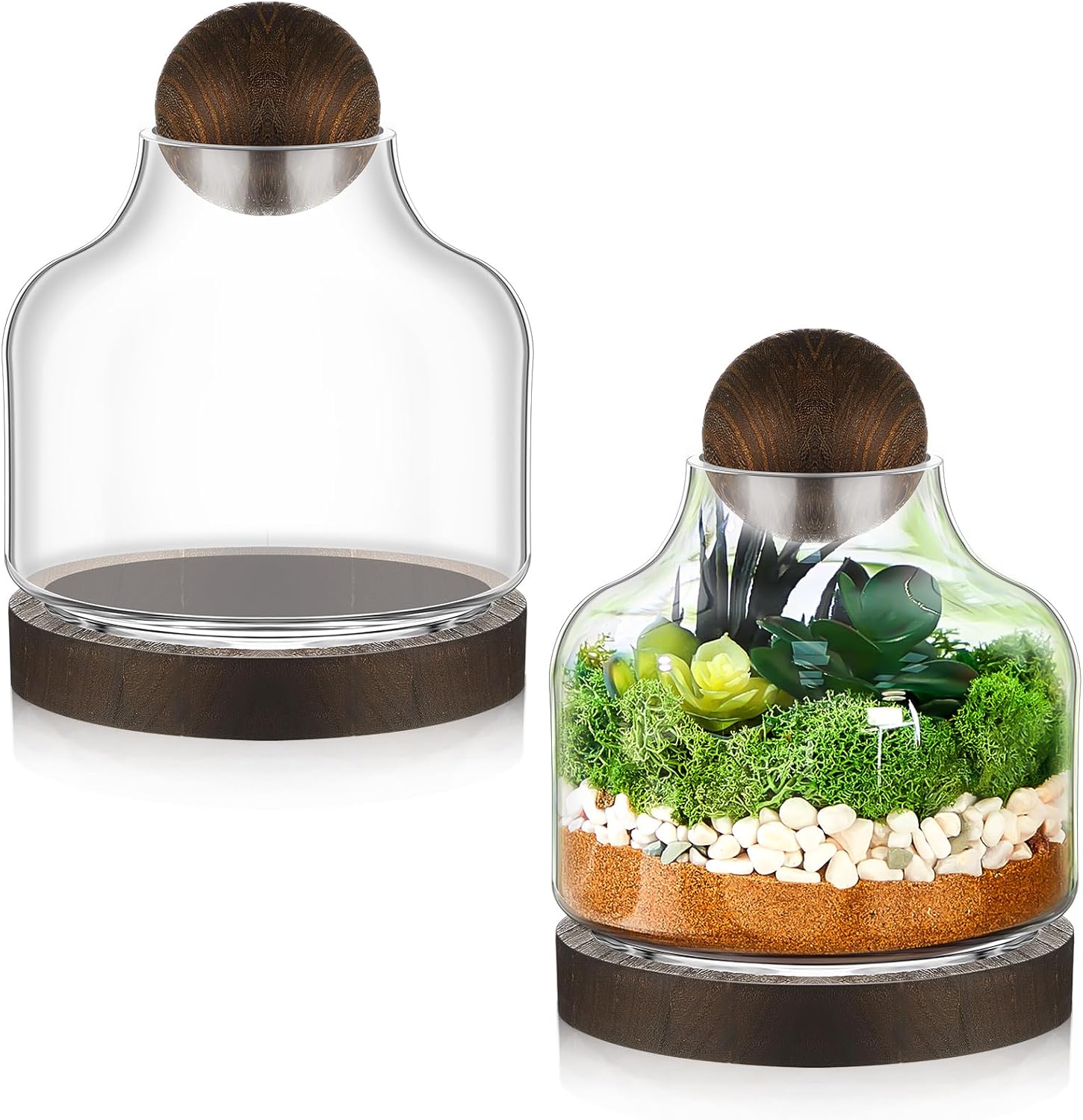 Amazon.com: Sunnychicc 2 Pack Glass Terrarium with Wood Base & Ball Lid - Elegant Display Jars ...