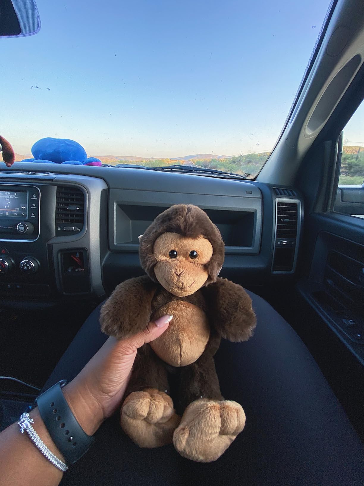 Amazon.com: DolliBu Plush Monkey Stuffed Animal - Soft Huggable Brown Monkey, Adorable Playtime ...