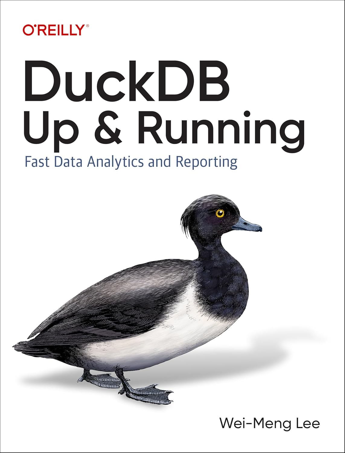 DuckDB: Up and Running: Fast Data Analytics and Reporting: Lee, Wei ...