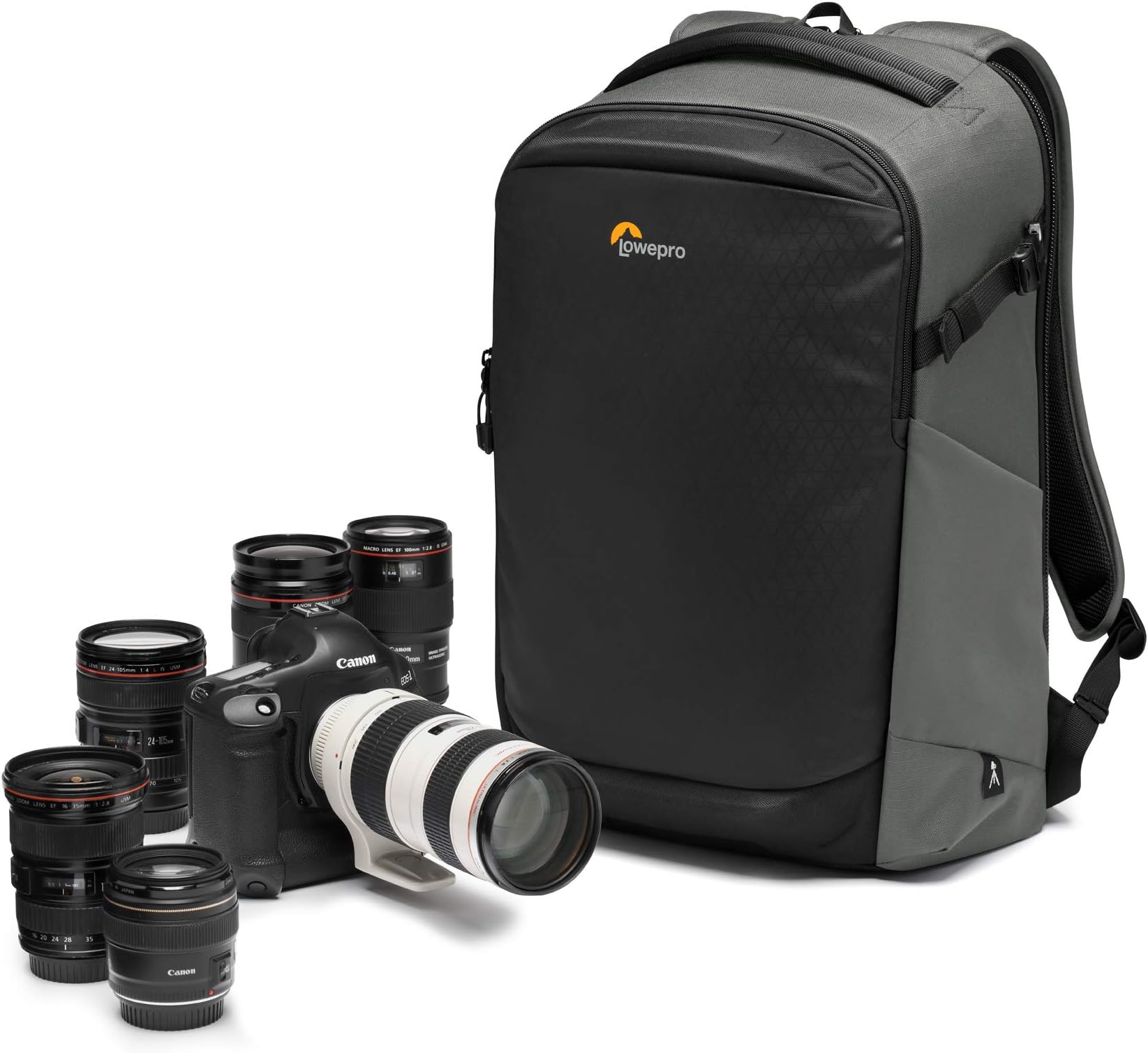 Lowepro Fastpack BP 250 AW III Mirrorless DSLR Camera Backpack with ...