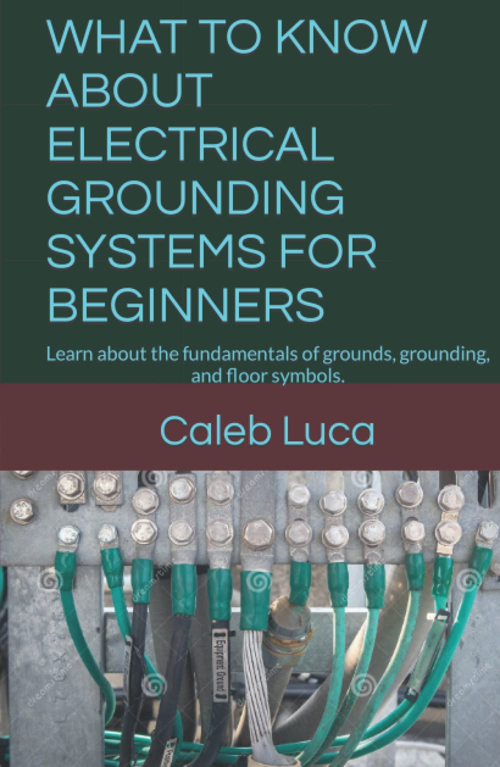 Buy WHAT TO KNOW ABOUT ELECTRICAL GROUNDING SYSTEMS FOR BEGINNERS ...