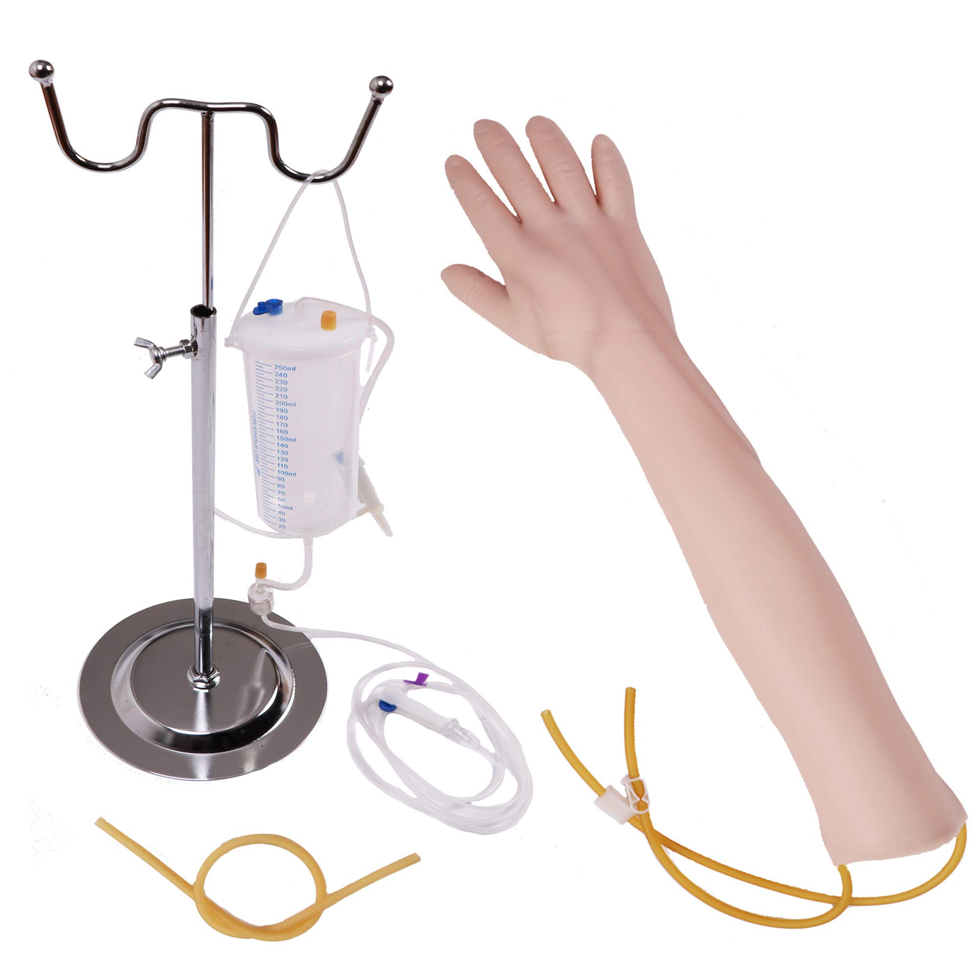 Buy AltraTech IV Practice Arm Life-Sized Phlebotomy and Venipuncture ...