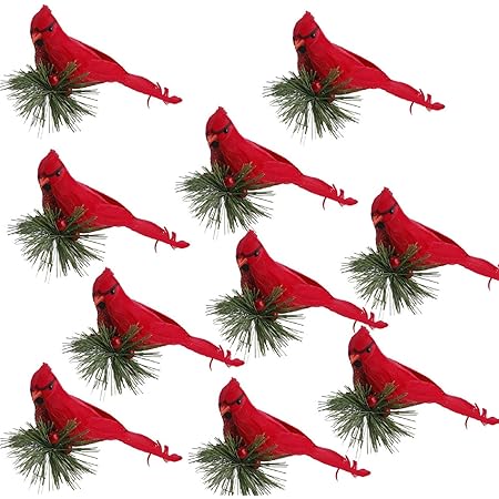 Amazon.com: GREENWISH 10Pcs Red Birds Cardinal Clip on Christmas Tree ...