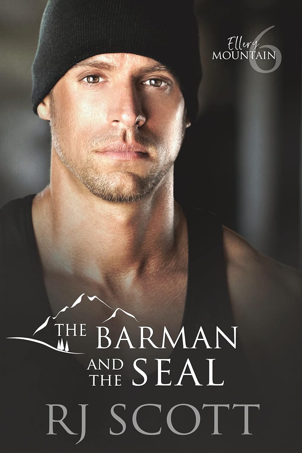 The Barman and the SEAL (Ellery Mountain Book 6) - Kindle edition by ...