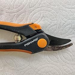 Amazon.com : Replacement Spring for Pruning Shears, Precision, Trimming ...