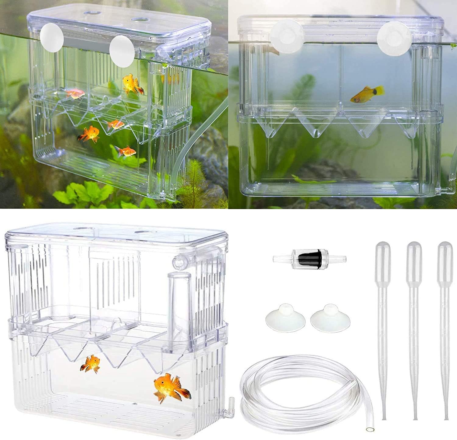 Amazon.com : Senzeal Aquarium Fish Breeder Box Plastic Fish Isolation ...