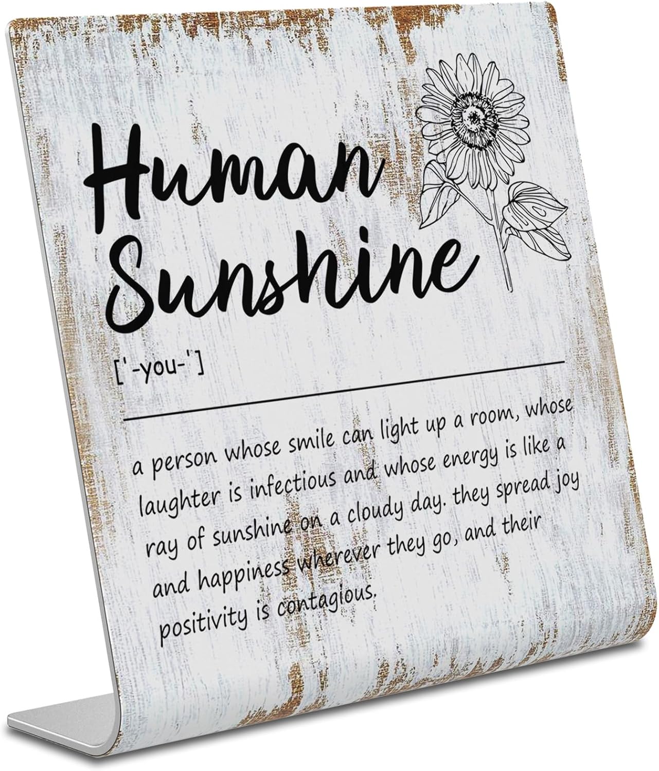 Amazon.com: Human Sunshine Definition Plaque Desk Decor Office Shelf ...