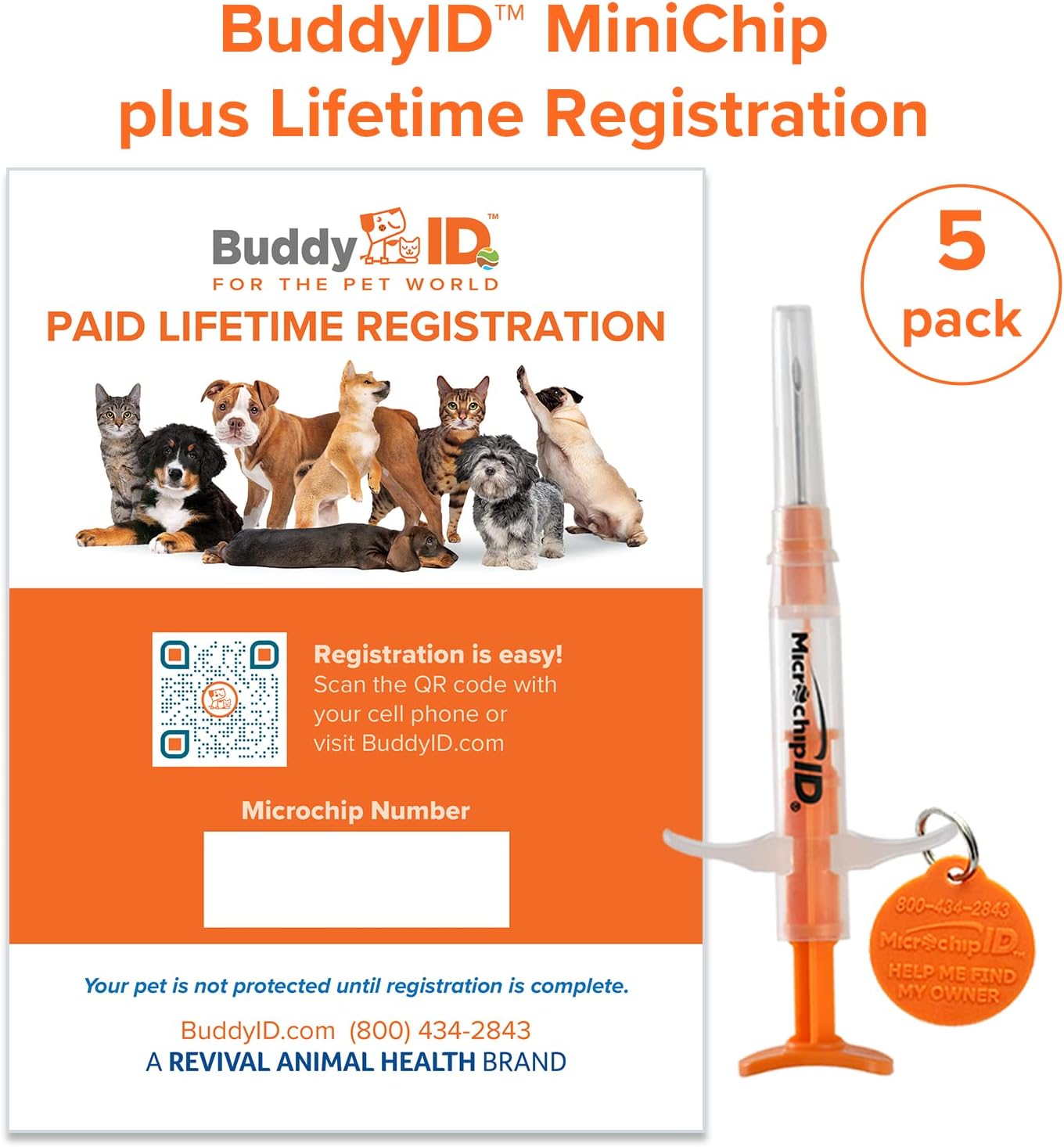 Amazon.com : SMART TAG ISO Microchip Box with Identification Tag for ...