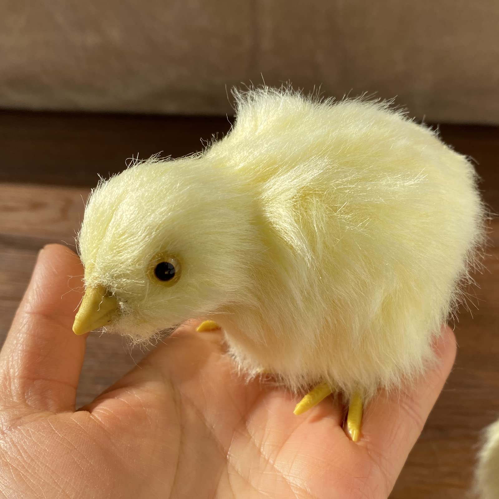 Yellow Baby Chickens